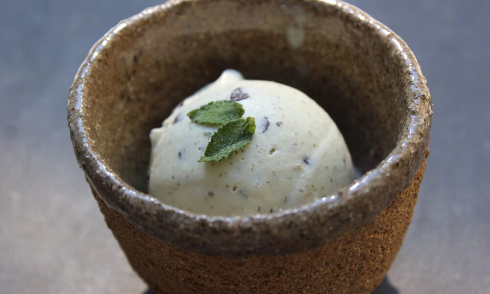 Descubre cómo hacer un helado de menta silvestre y chocolate - CIERVAL