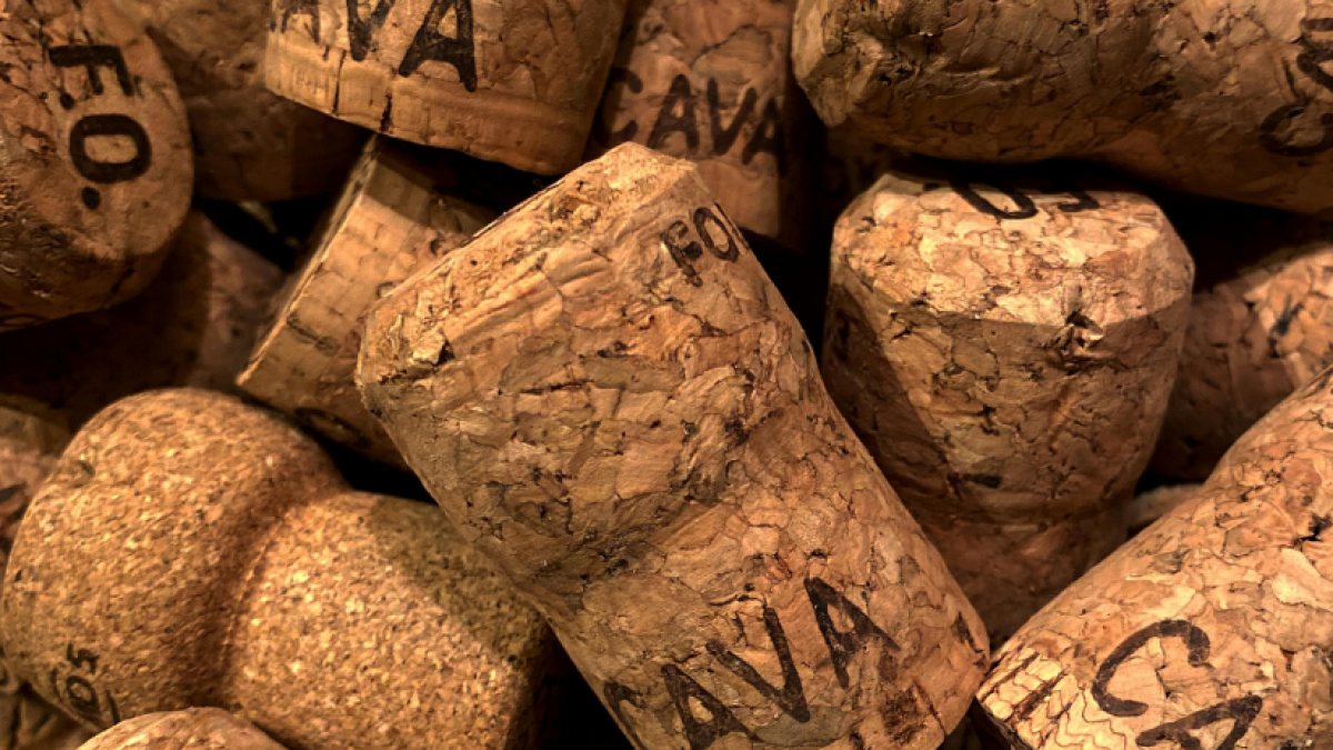 La elaboración del cava: un arte de tradición y técnica - CIERVAL